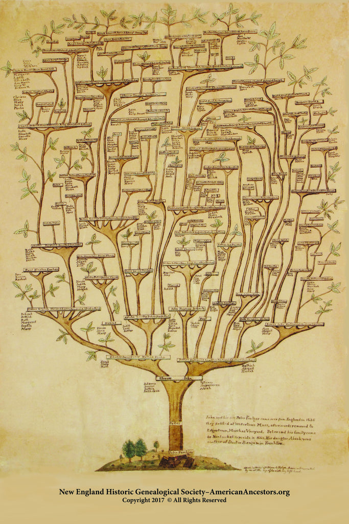 Folger Family Tree Lithograph – American Ancestors